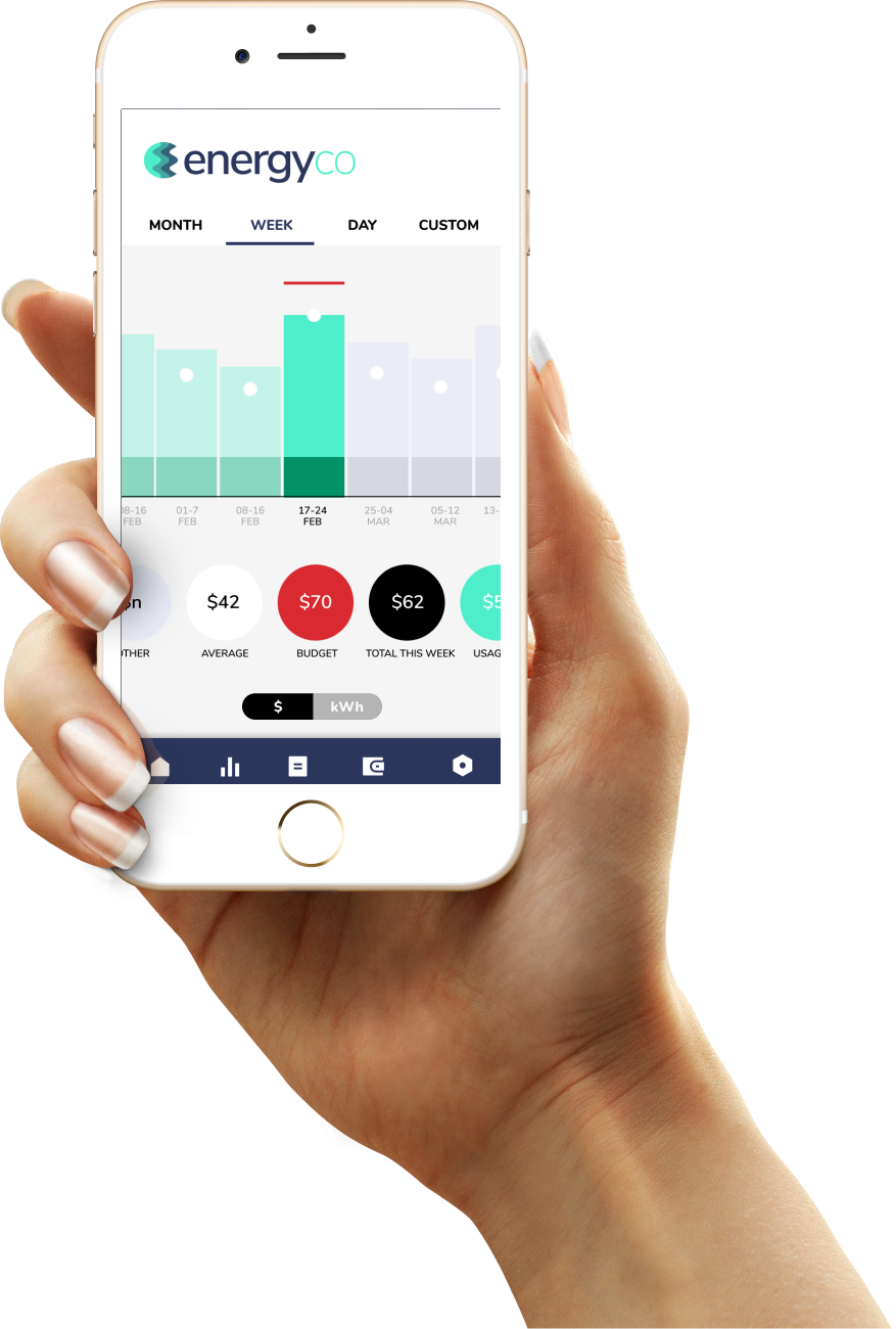 Empower Your Business with Tally's Innovative Solutions