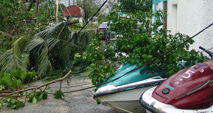 Dealing with the Aftermath of a Hurricane