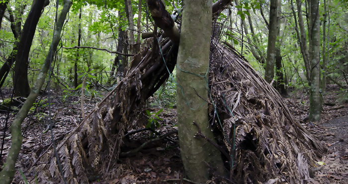 The Basics of a Survival Shelter