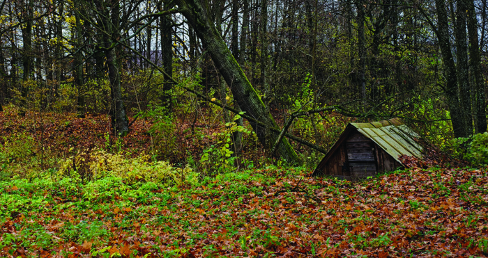 What is the definition of meaning of Dugout