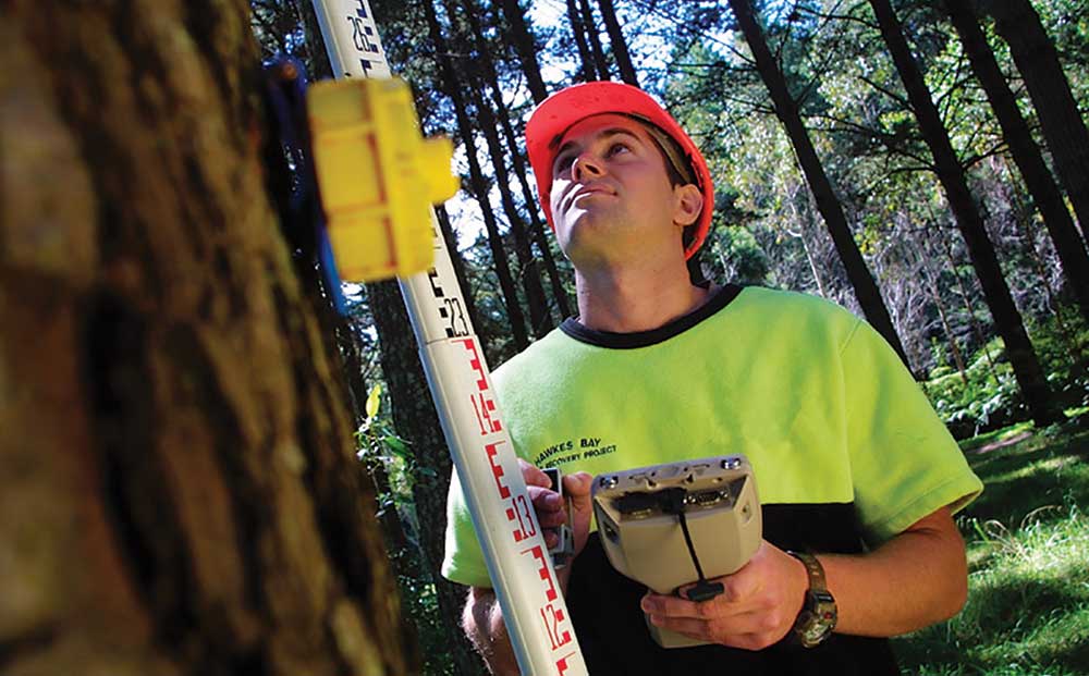Forestry Worker (Silviculture) | Competenz