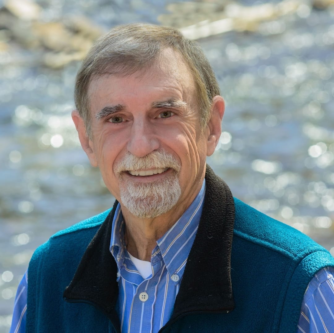 About Team Democracy