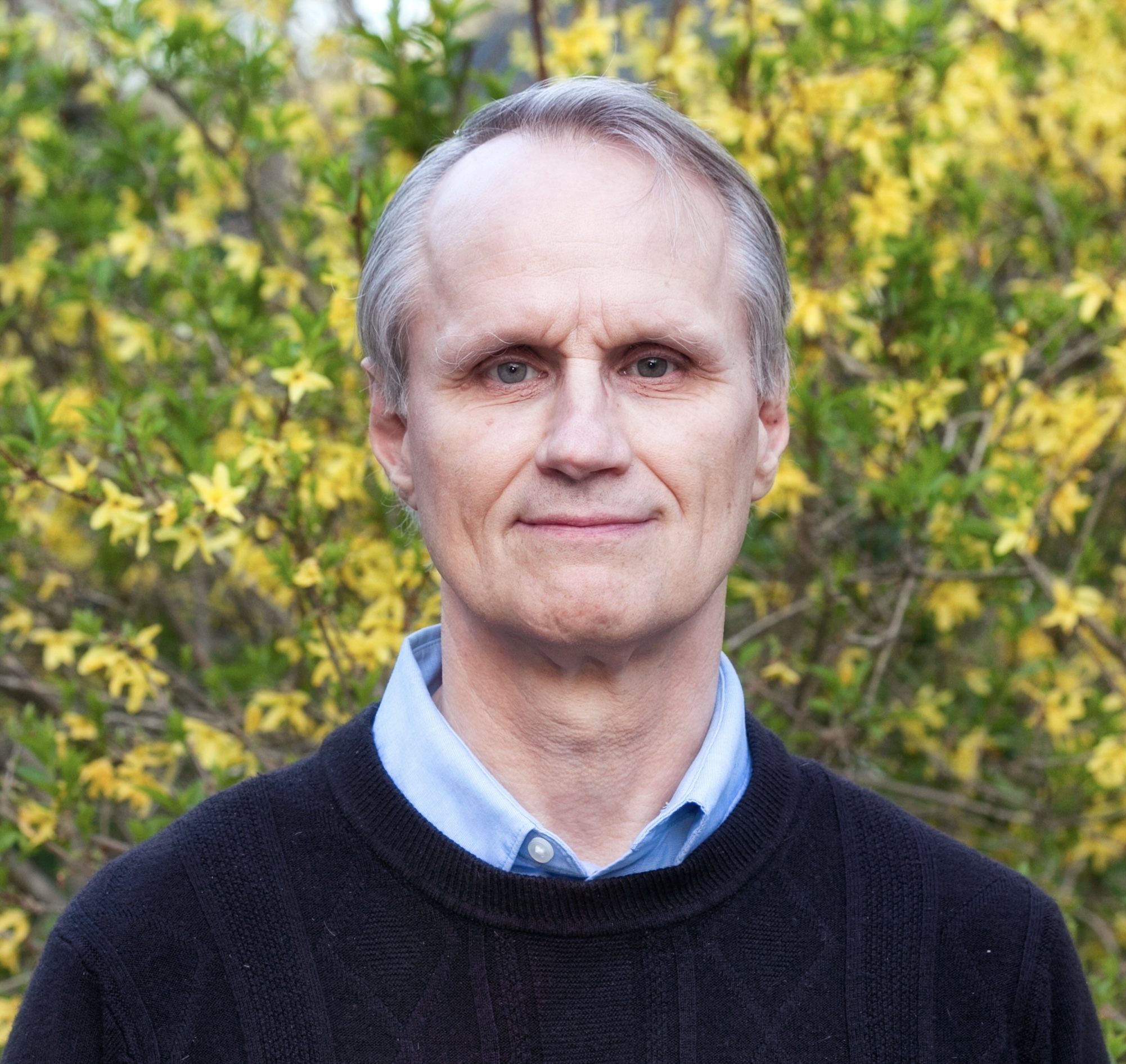 About Team Democracy