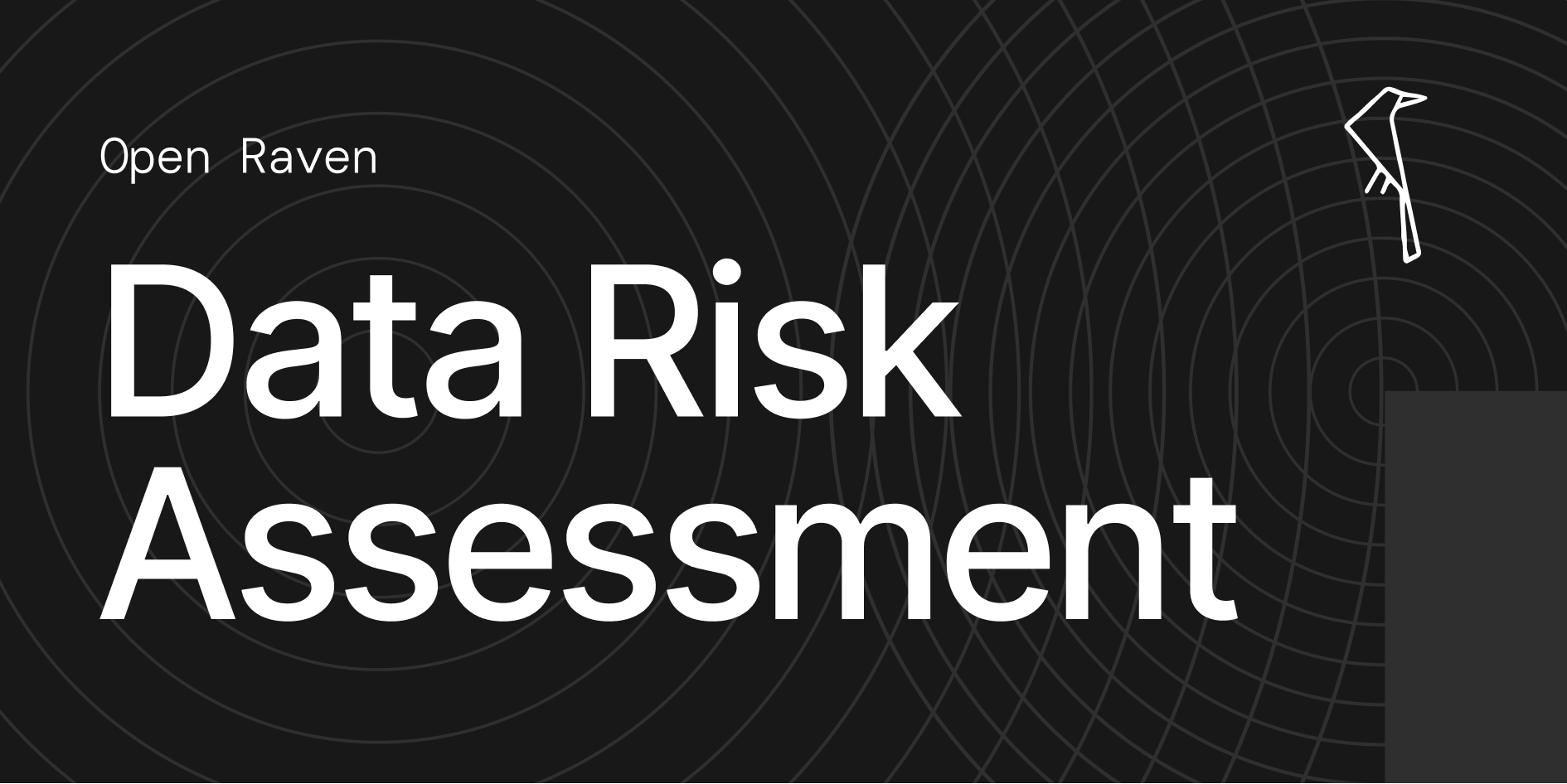 Data Risk Assessment | Open Raven