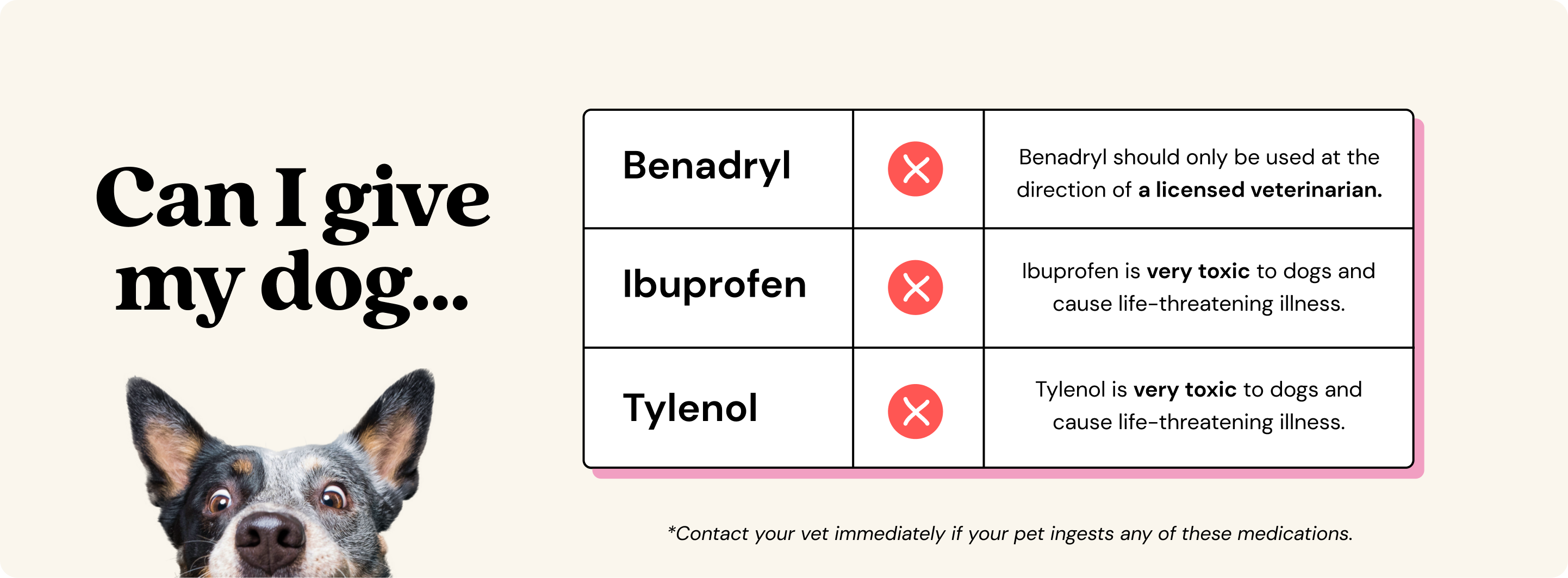 Can You Give A Dog Ibuprofen And How Much Can You Give A Dog Ibuprofen And How Much