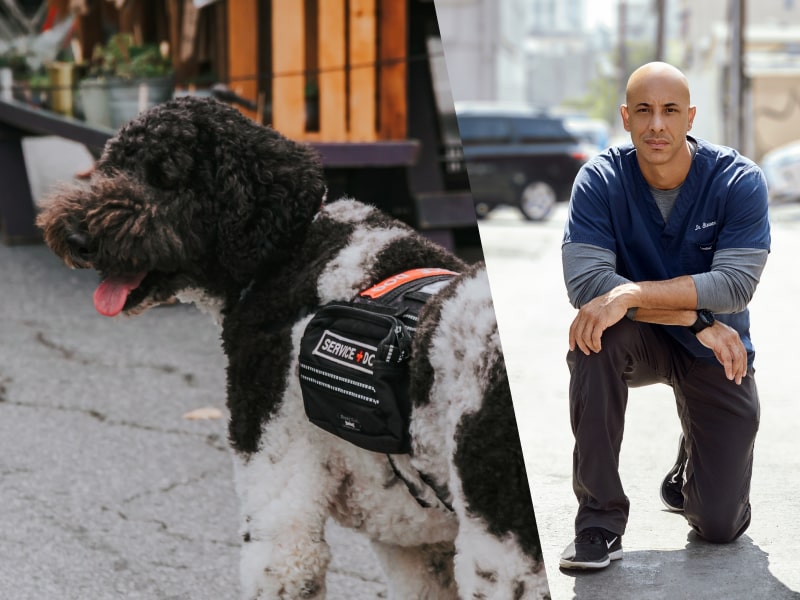 6 qualities of great service dogs, according to Dr. Kwane Stewart