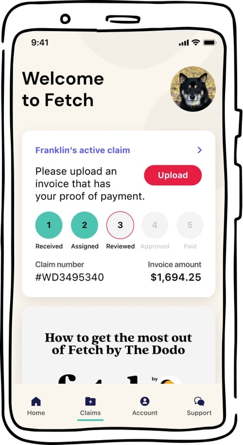 Submit a Claim | Fetch by The Dodo