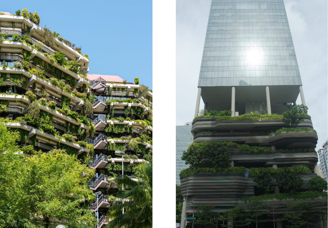 Green Building Technology