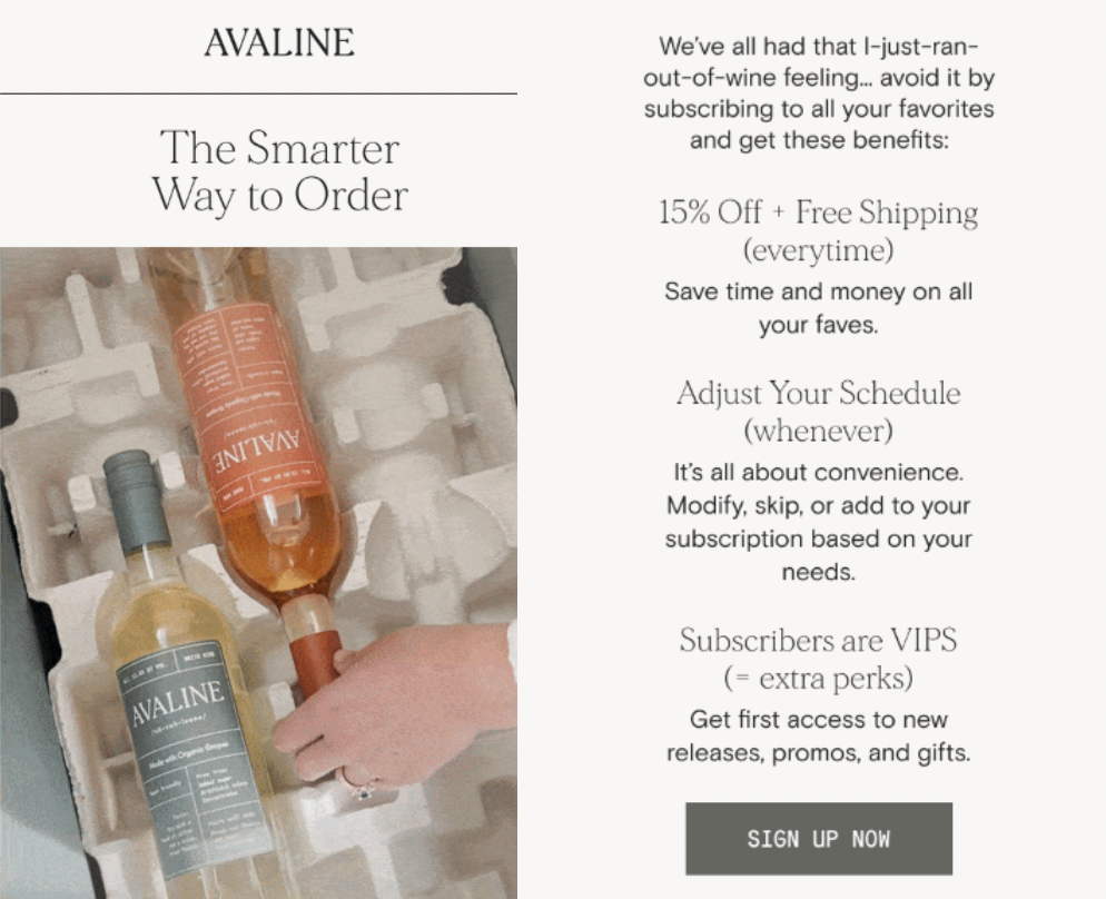 Your All-in-One Guide to Subscription Marketing | Triple Whale