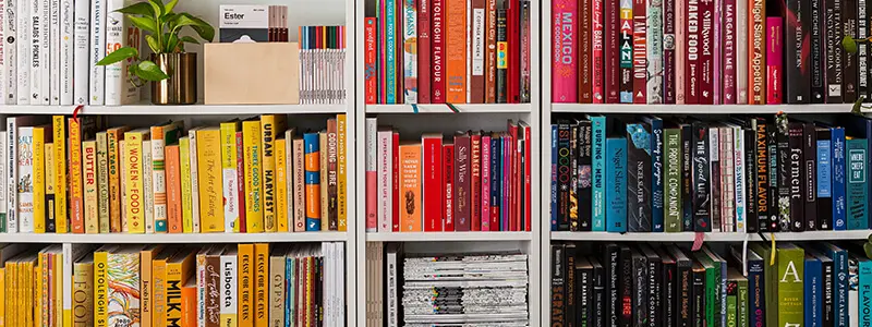 Shopify Customer Service: Here’s How To Easily Get in Touch | Triple Whale