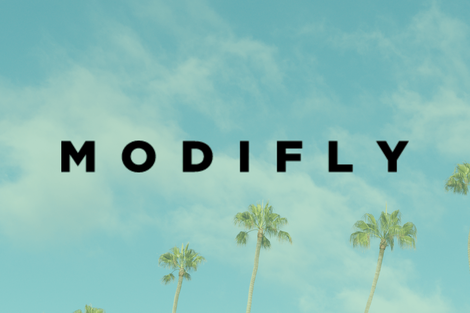 How Triple Whale Skyrocketed Modifly's Client Performance +20% Within ...