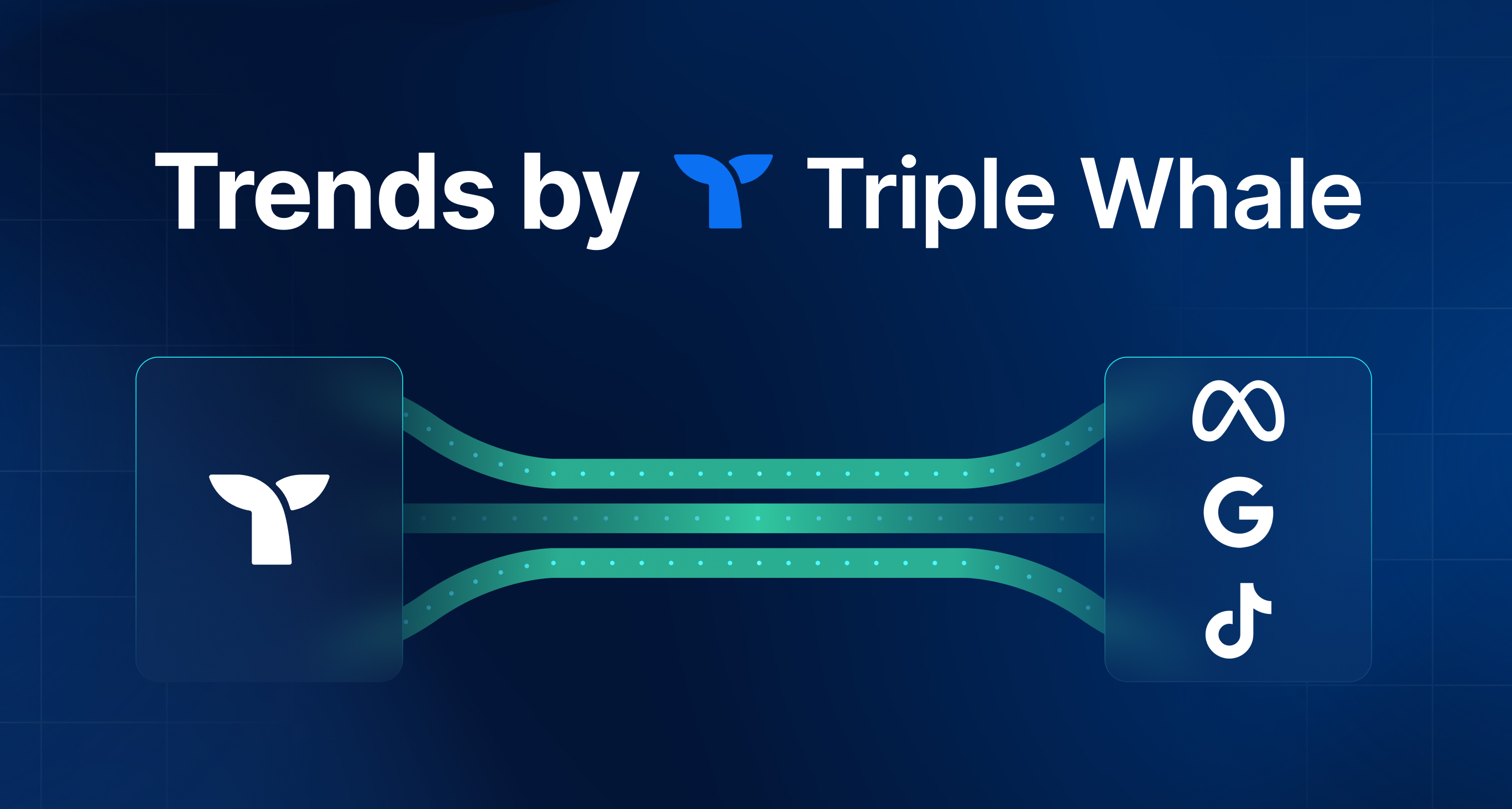Introducing Trends By Triple Whale | Triple Whale