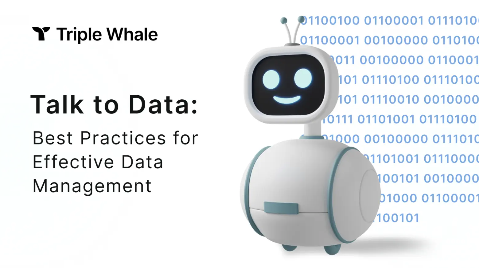 Talk to Data: Best Practices for Effective Data Management | Triple Whale