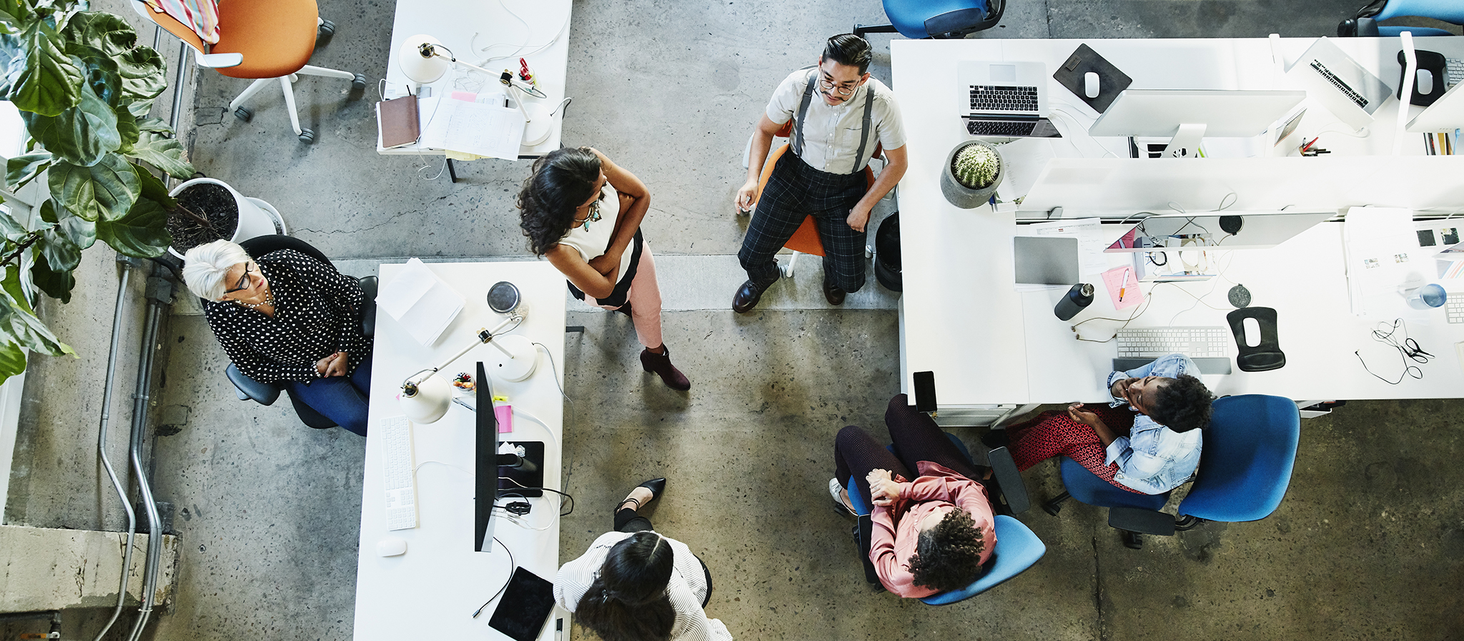 Insights - The people behind the performance