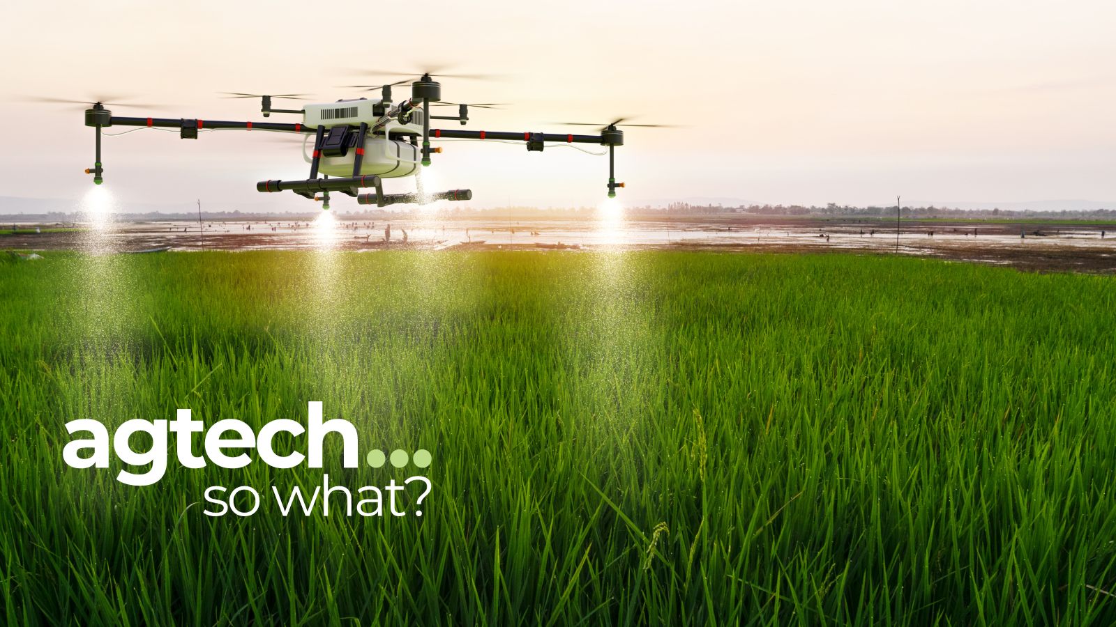 How Can Agtech Startups and Corporates Do More Together?