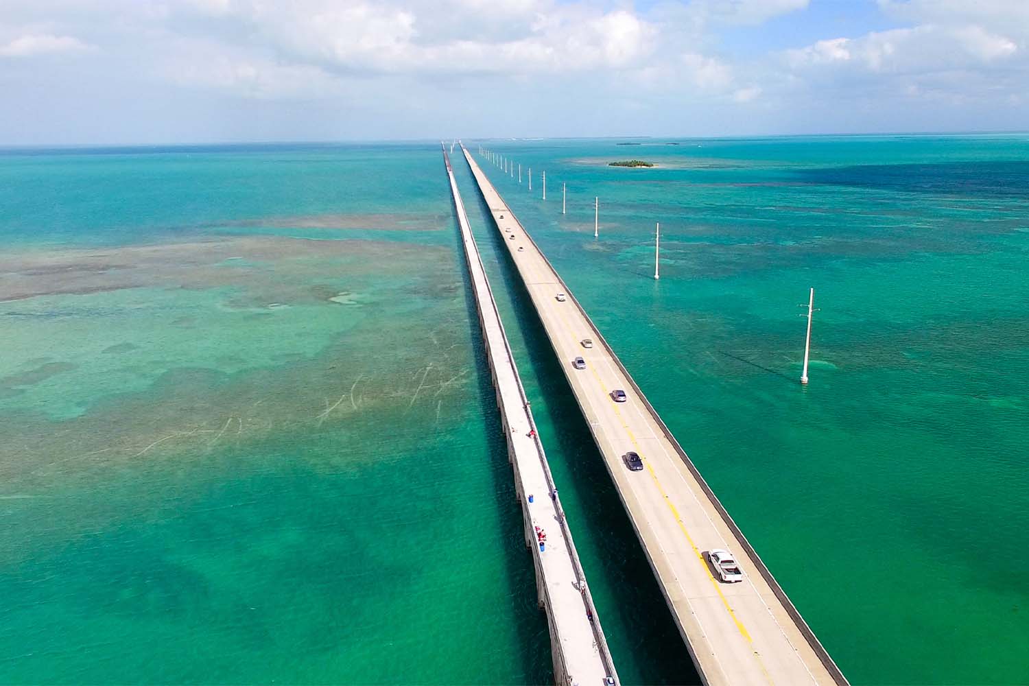 786 Area Code: How To Get a Florida Keys Area Code | Burner