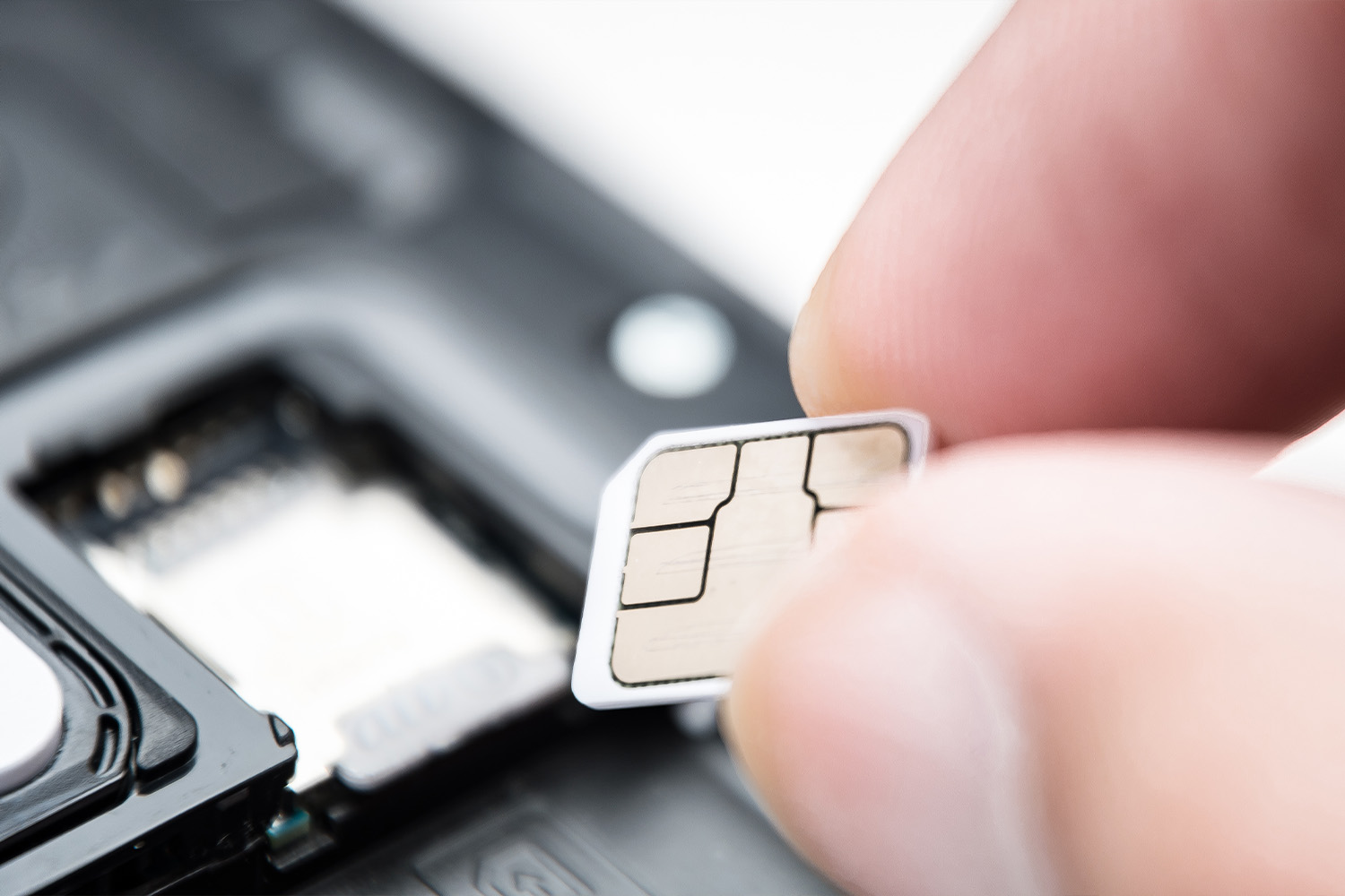 What Is an MVNO? | Burner