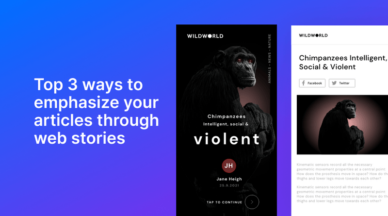 Top 3 ways to emphasize your articles through web stories