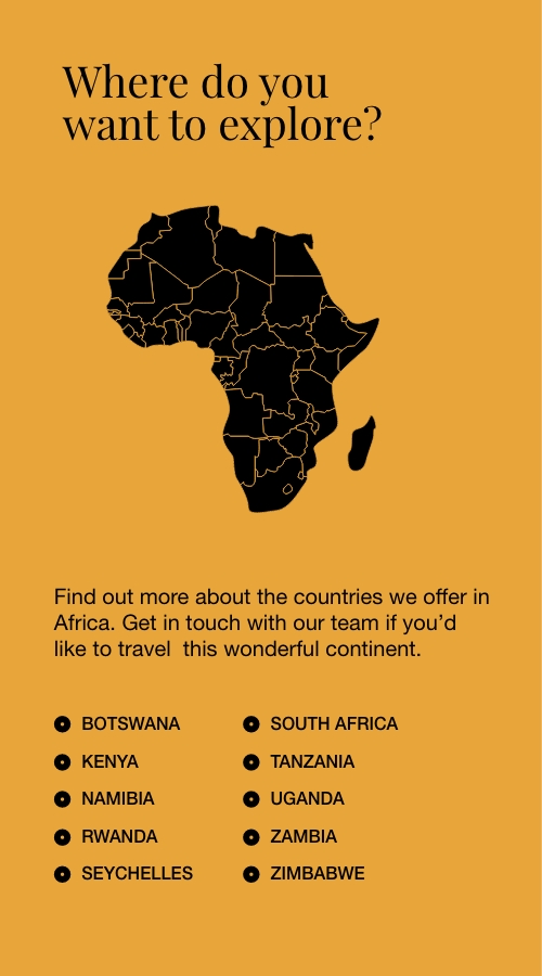 Create Interactive & Personalized Stories