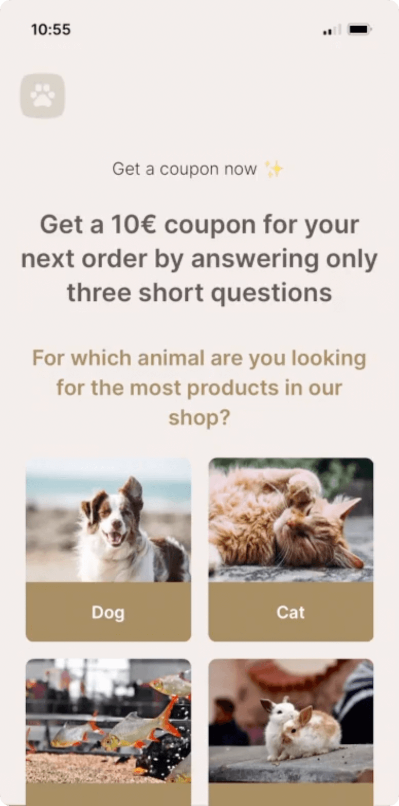 Professional Funnel Templates