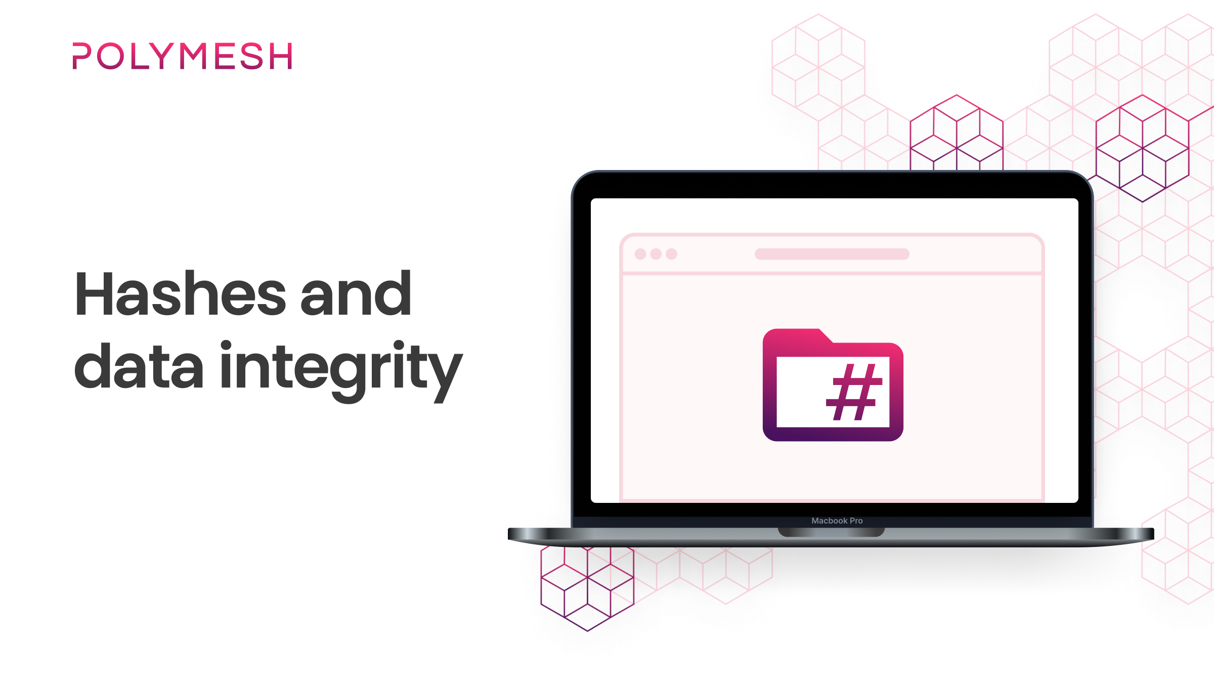 Hashes and data integrity