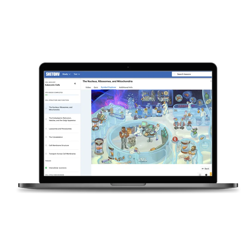 Review MCAT Biology Practice Questions & Content with Sketchy