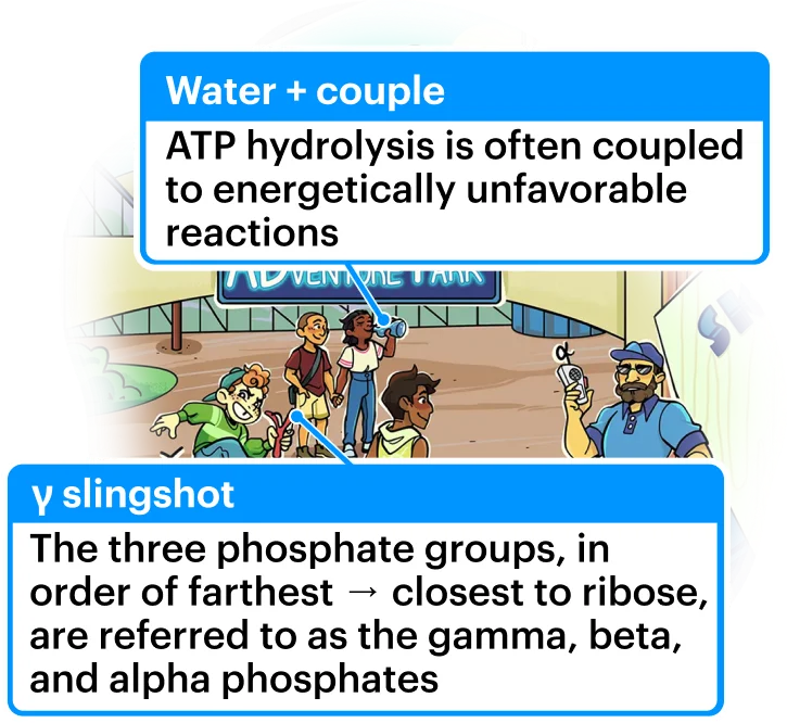 MCAT Biochemistry Made Simple - Sketchy Gen Chem
