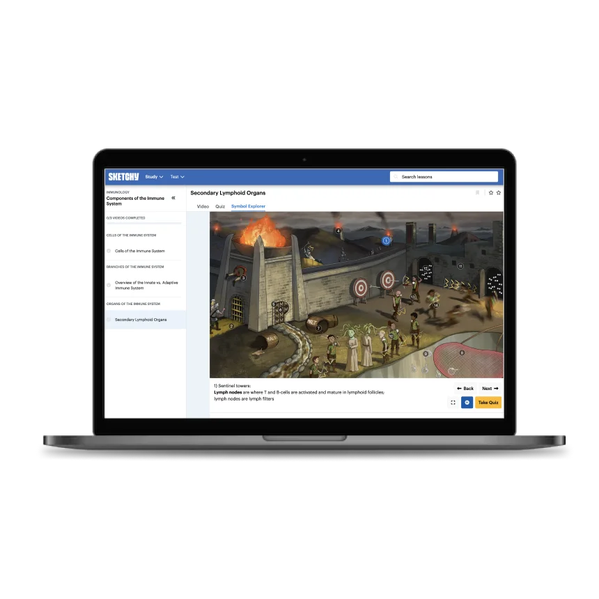 Sketchy Makes Immunology for Medical School Unforgettable