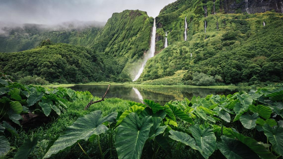 AP Environmental Science: Biodiversity and Conservation from AP Guru