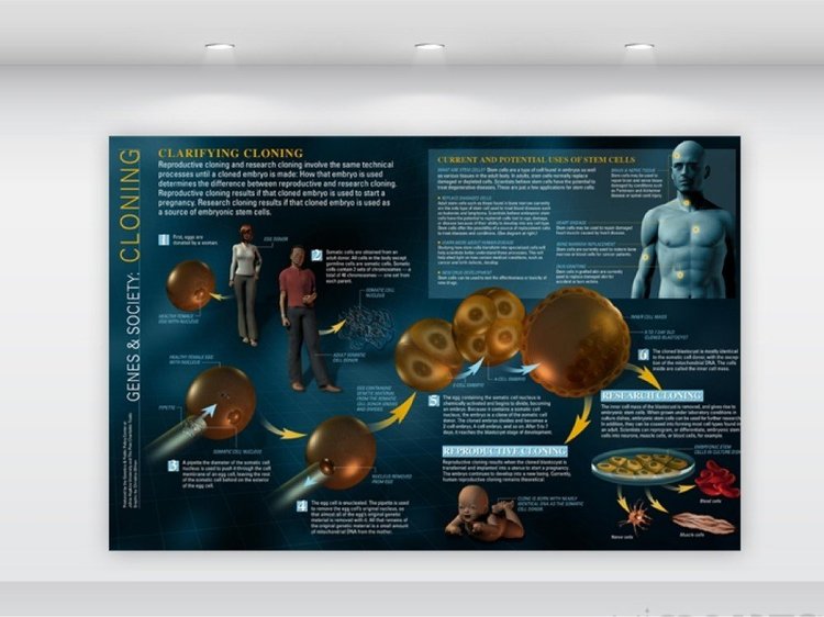 Infographic design ideas - Creative infographic for your data | Upwork