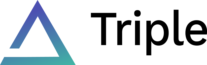 Triple Technologies | The most powerful transaction enrichment platform