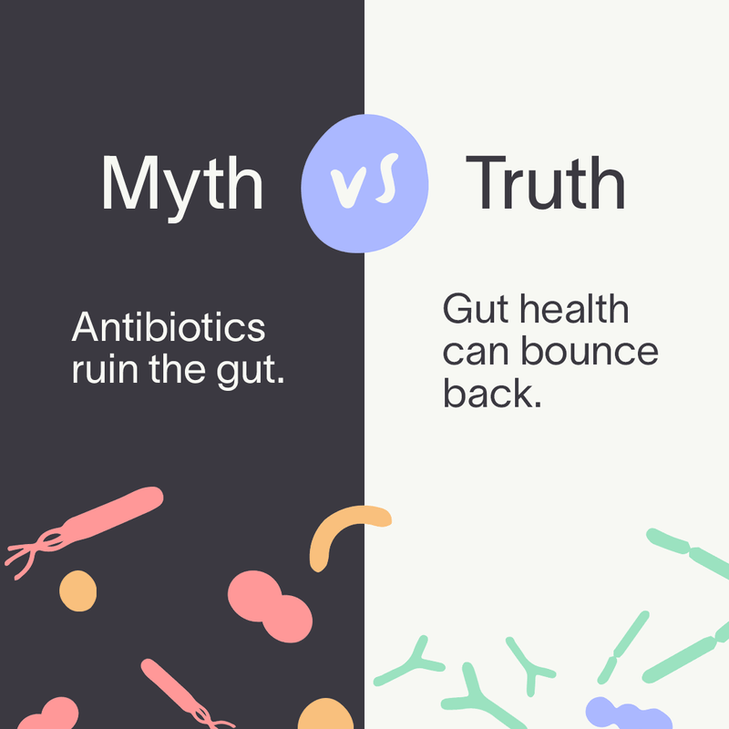 How Long Does It Take For Good Bacteria To Restore After Antibiotics?