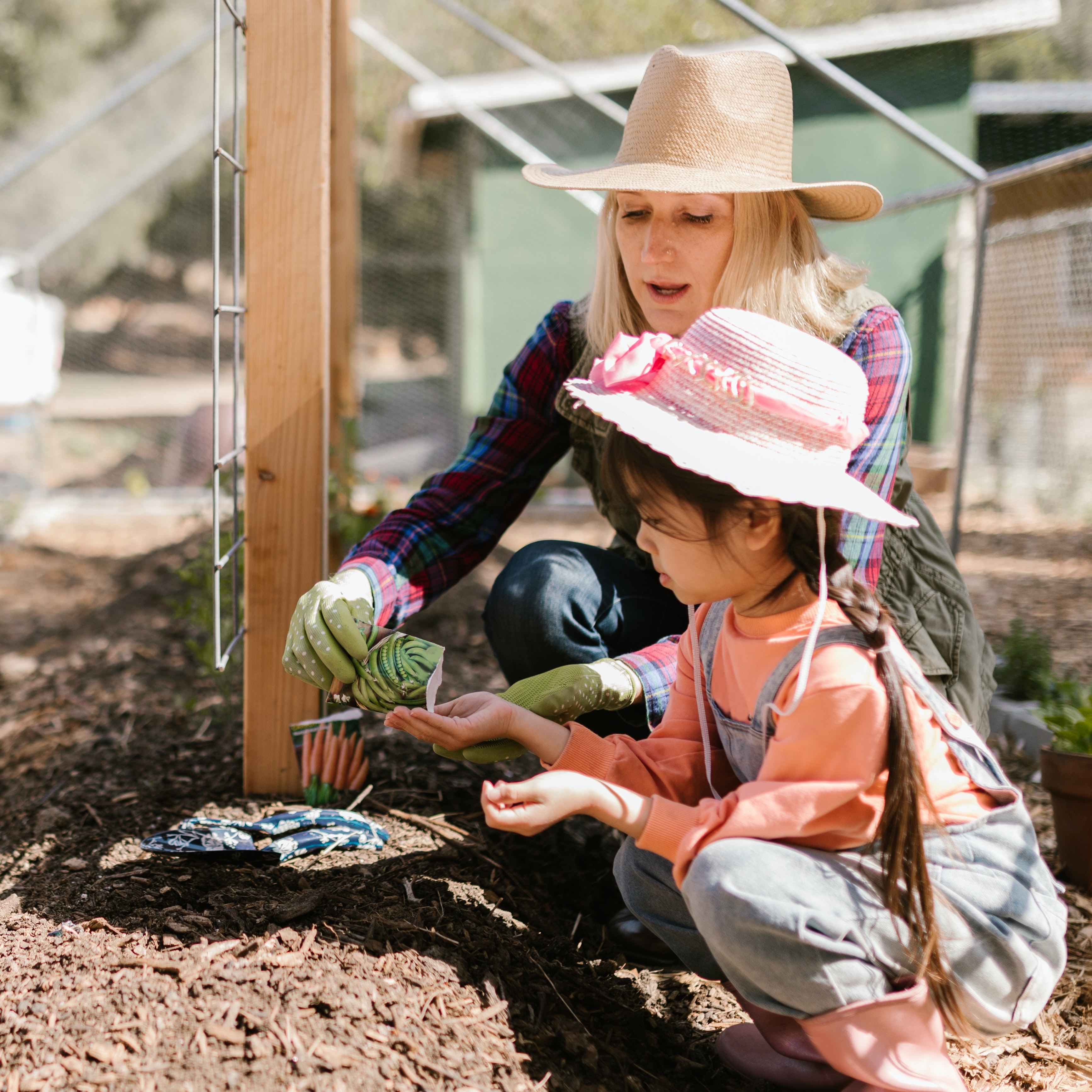 The power of dirt: How exposure to soil and farm animals can benefit ...