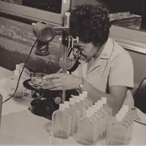 Celebrating Black microbiologists throughout history