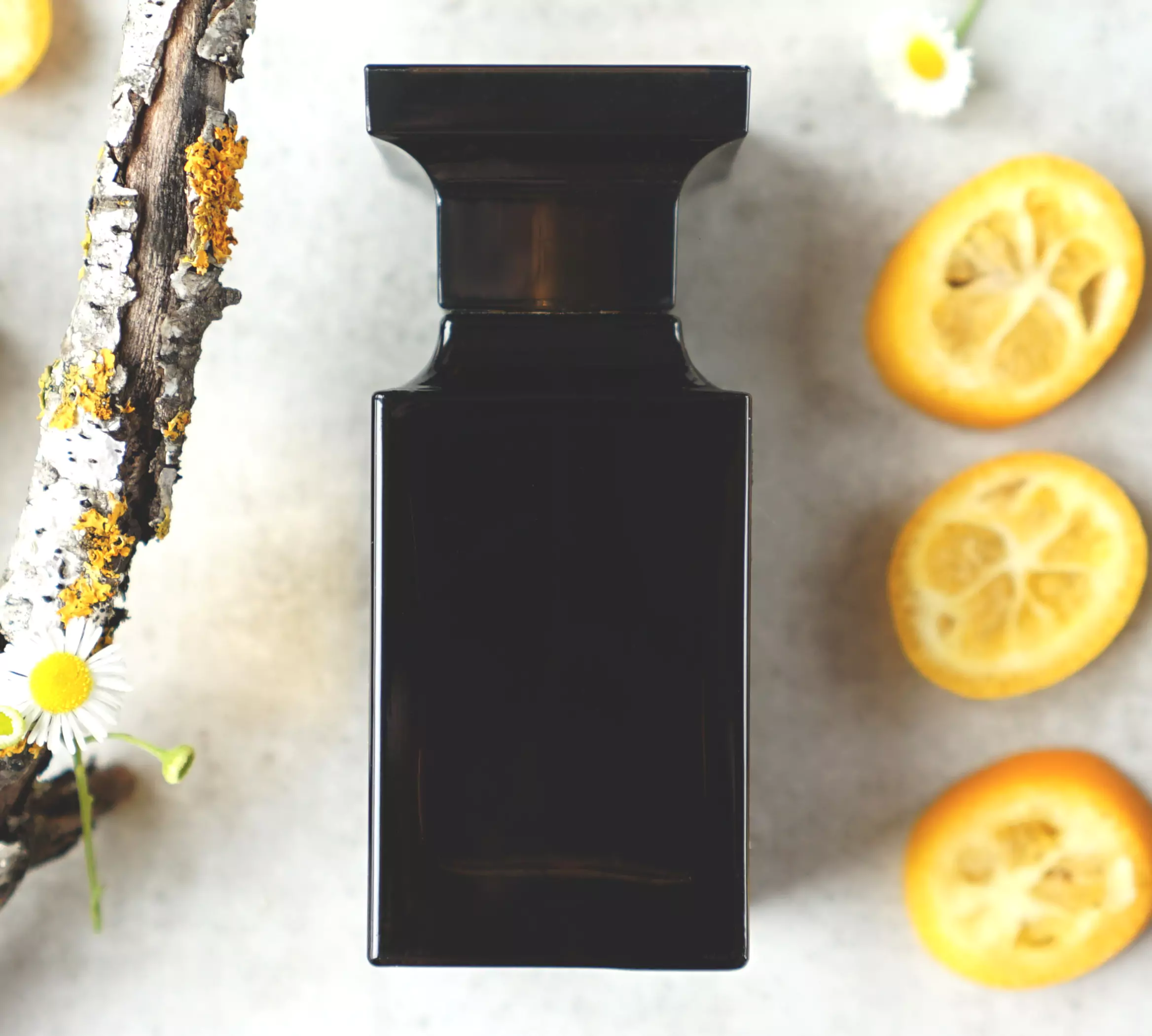 A Guide To Fragrance Wheel & Fragrance Families - Tira