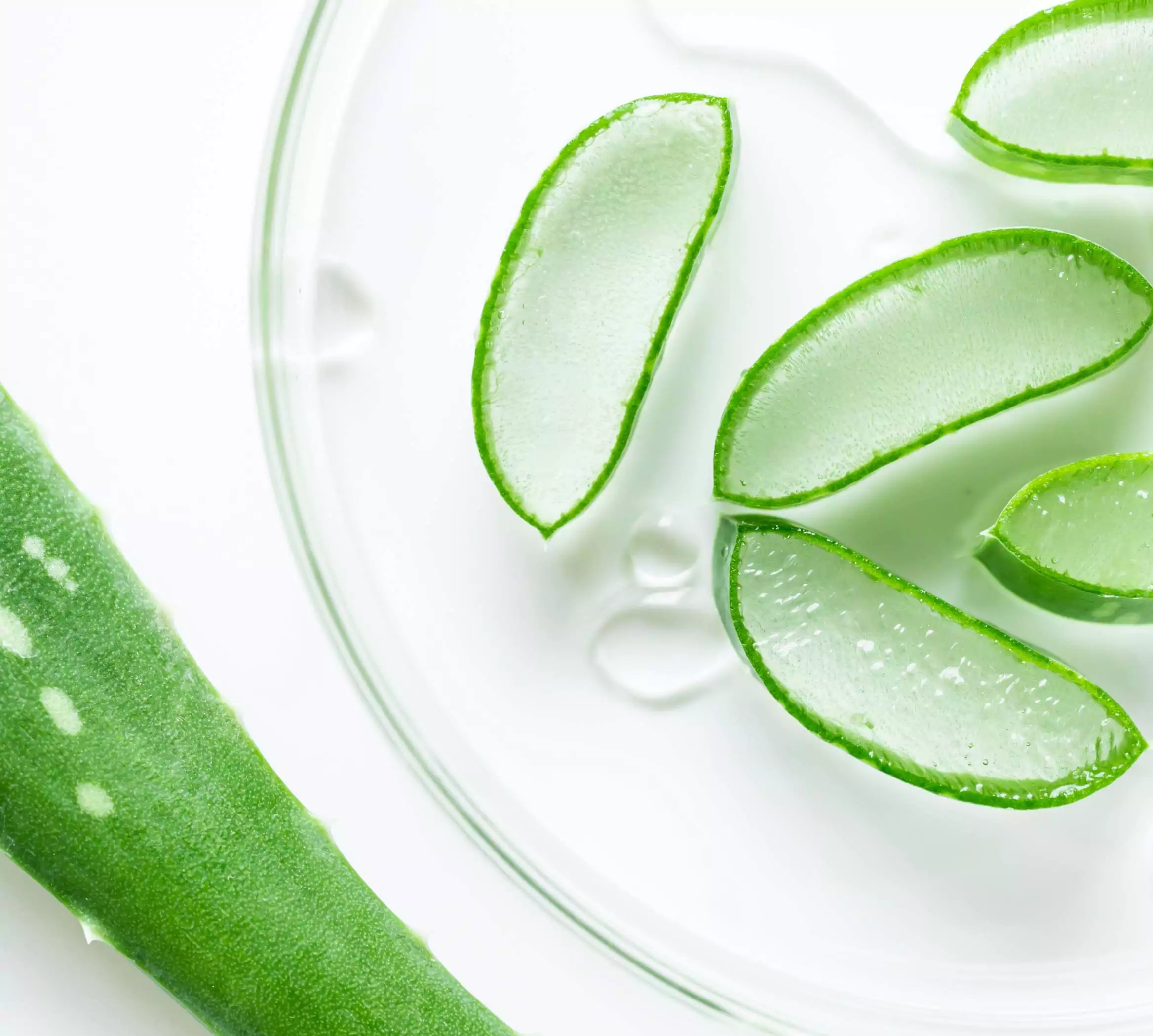 The benefits of using aloe vera in your daily routine