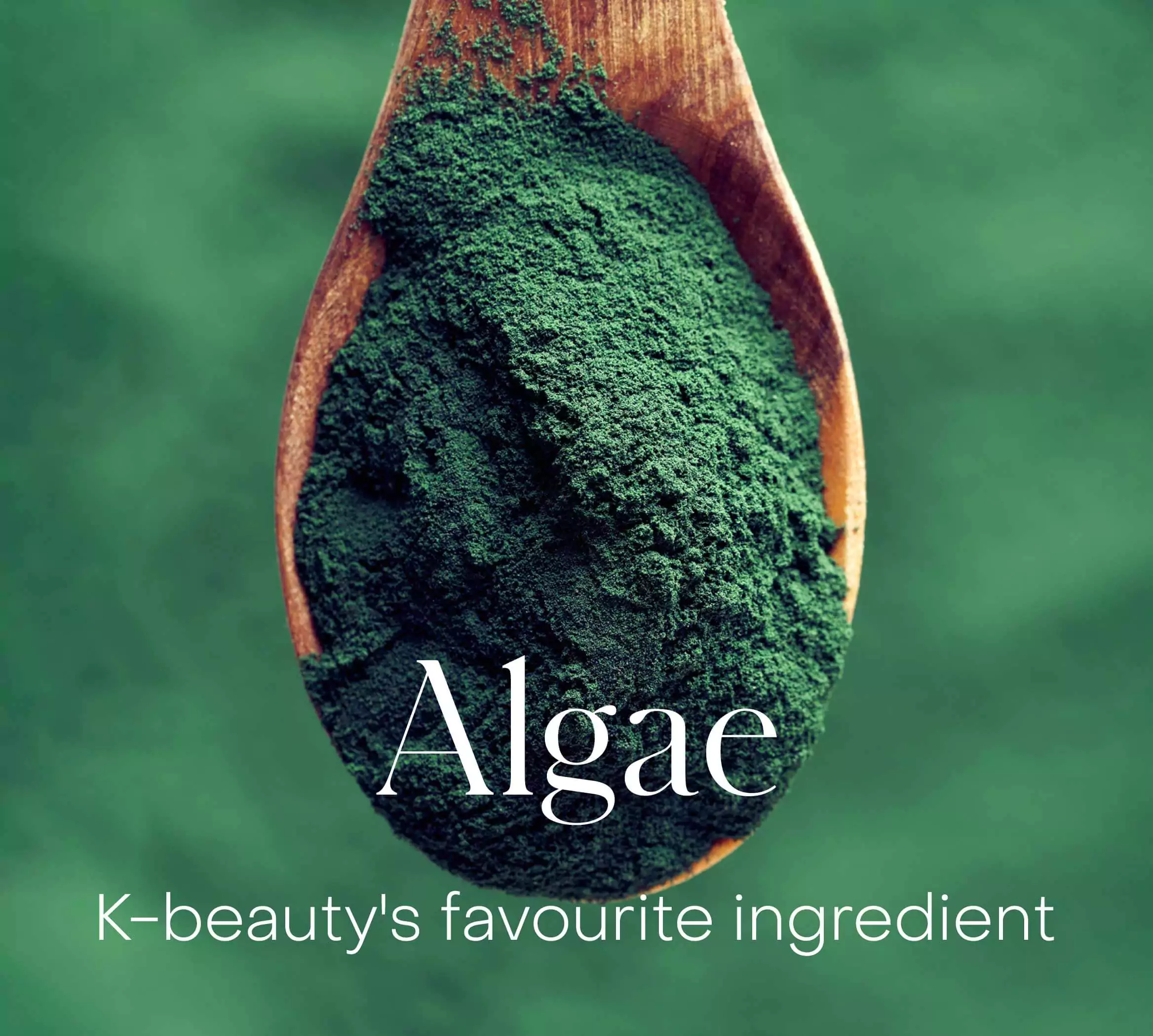 Everything you need to know about algae in skincare