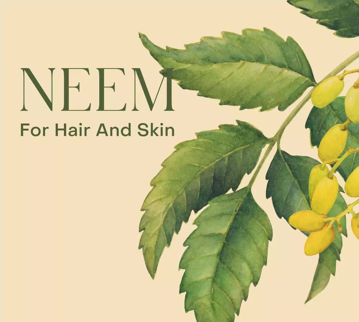 The powers of neem for your hair and skin