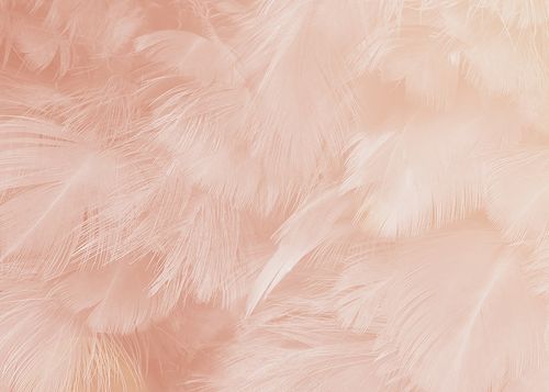 Evite: Online Invitations, Greeting Cards & Party Ideas