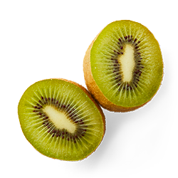 Foodles: an innovative Catering Solution for your office