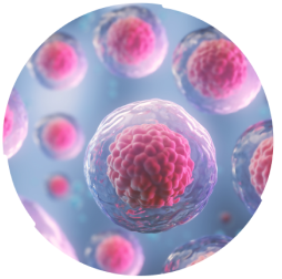 Acorn Biolabs - Personalized Regenerative Medicine