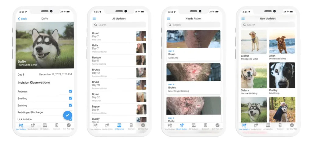 13 Examples of no-code apps that solve real-world problems