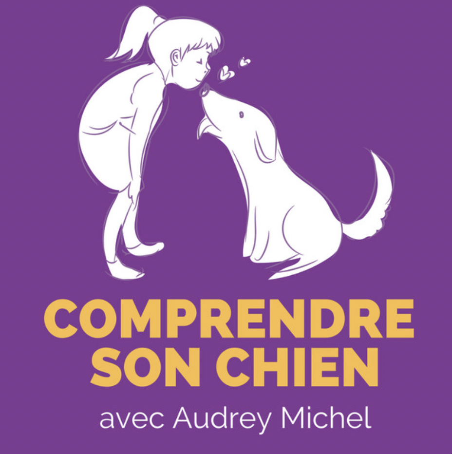 Comprendre son chien - Podcast Santé