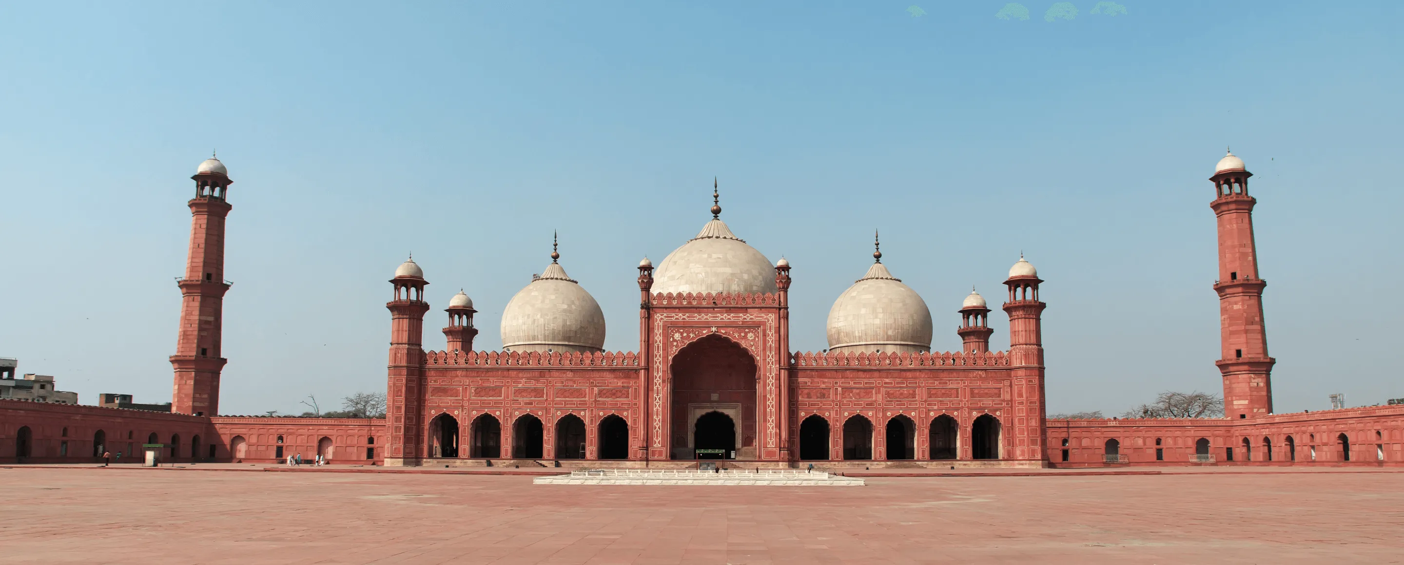 Background check in Pakistan | Skuad