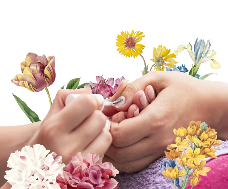 Collate Nails | About Us