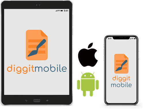 Diggit Archaeology | The digital recording standard