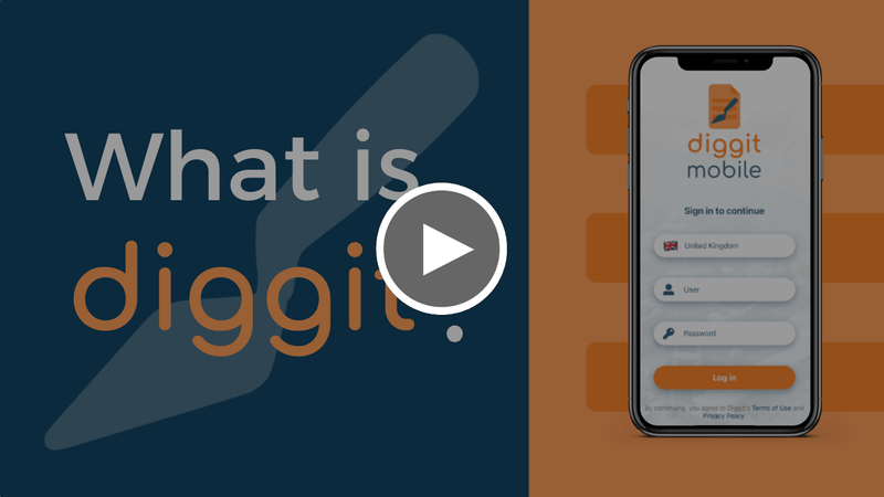 Diggit Archaeology | The digital recording standard