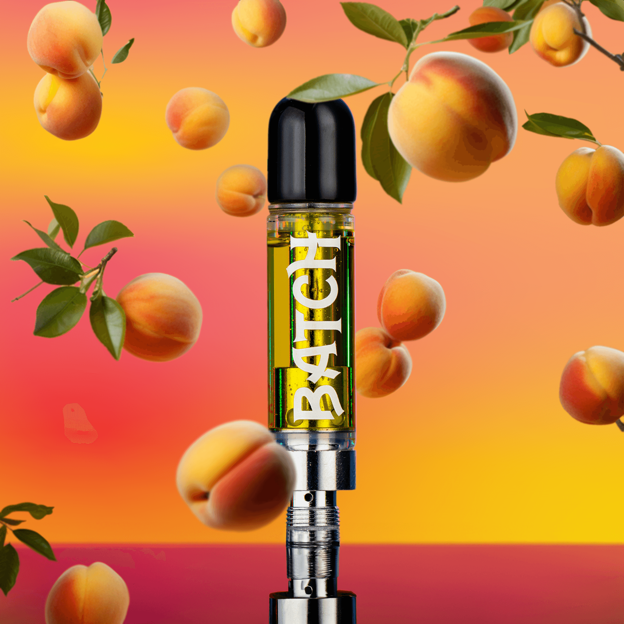 Batch Signature Extracts