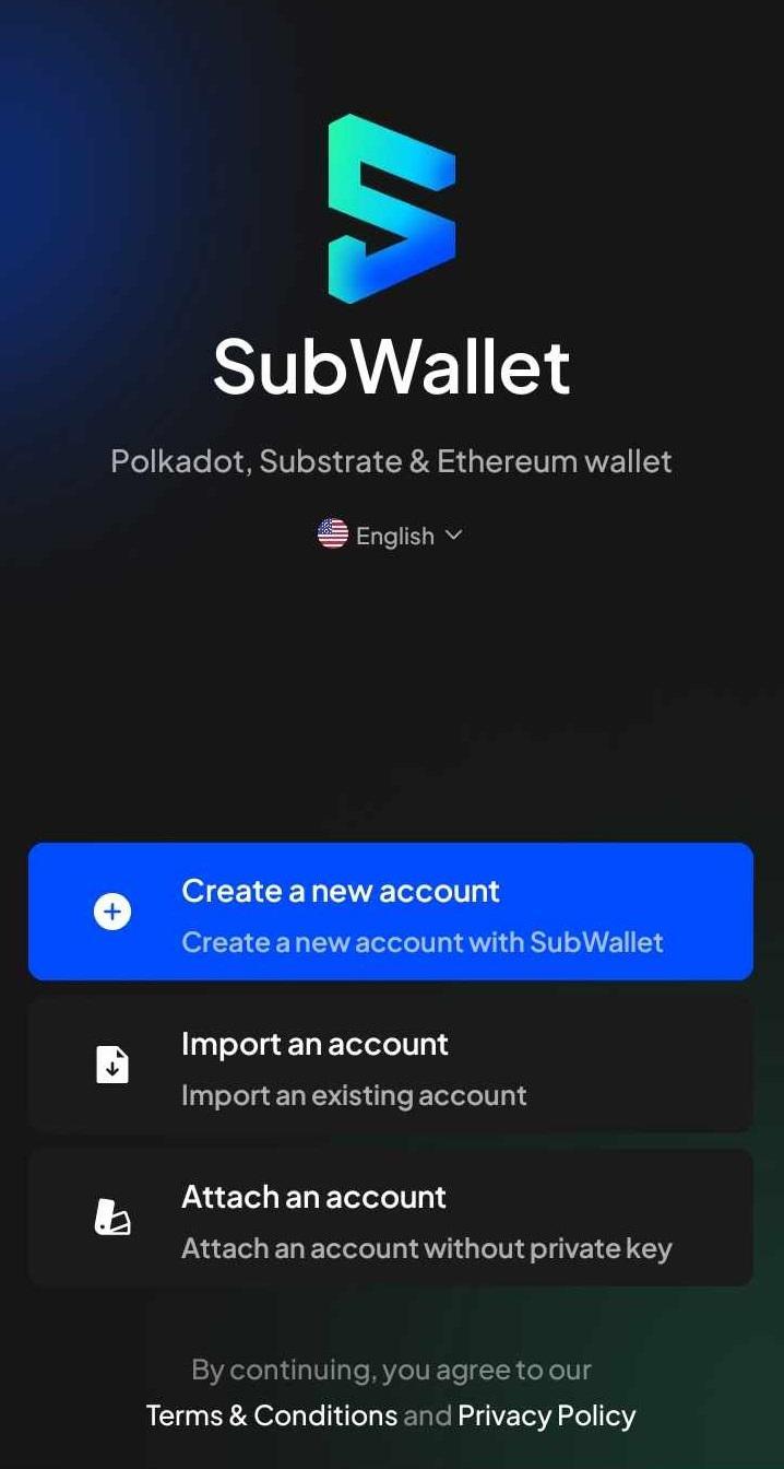 How to Use SubWallet? | Bitskwela