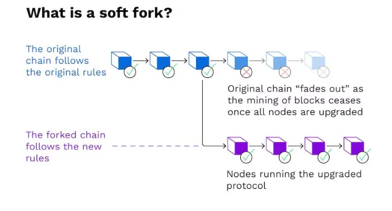 Hard Fork Versus Soft Fork | Bitskwela